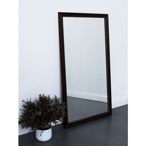 Зеркало интерьерное Salendo 50x120, коричневый, пластиковая рама