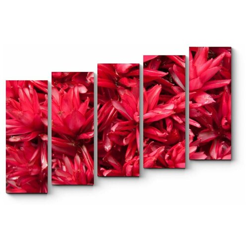 Модульная картина Красные тропические цветы220x154