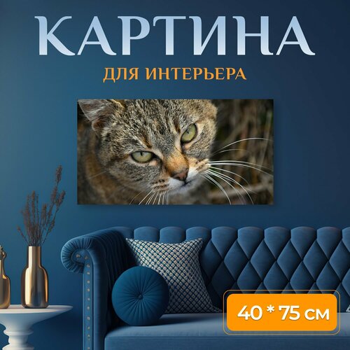 Картина на холсте "Кошка, кот, полосатый кот" на подрамнике 75х40 см. для интерьера