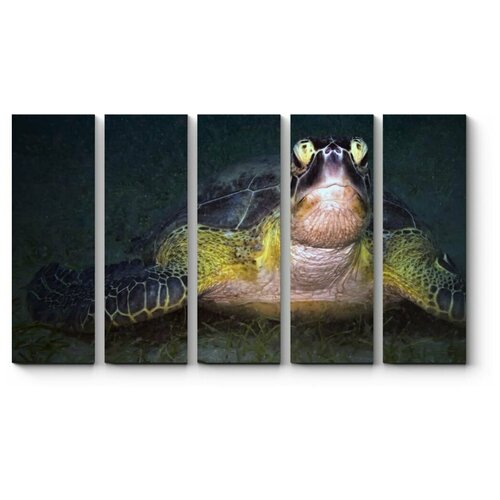 Модульная картина Зеленая черепаха ночью 100x60