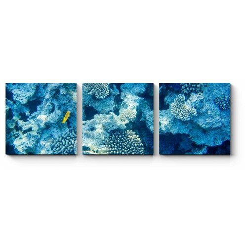 Модульная картина Коралловые рифы 110x37