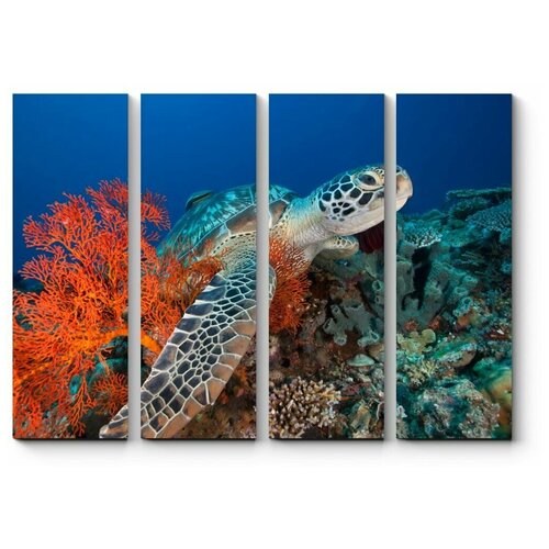 Модульная картина Морская черепаха в кораллах140x105