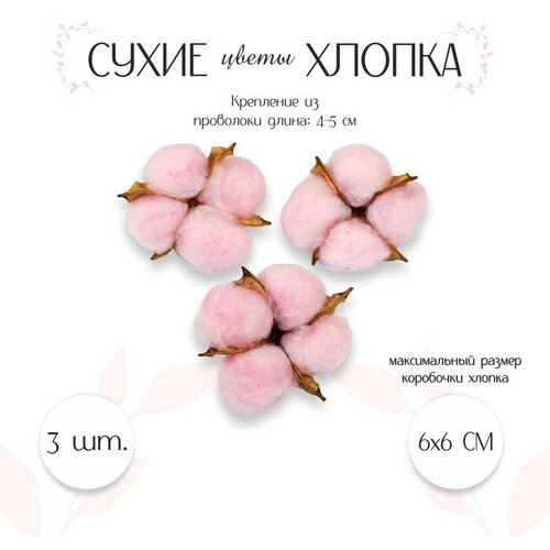 Сухие цветы хлопка, набор 3 шт, размер 1 шт. 6 × 6 см, цвет розовый