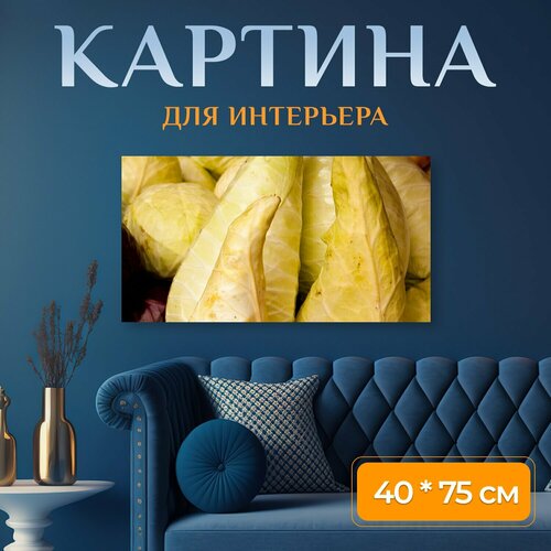 Картина на холсте "Тыква, капуста, еда" на подрамнике 75х40 см. для интерьера