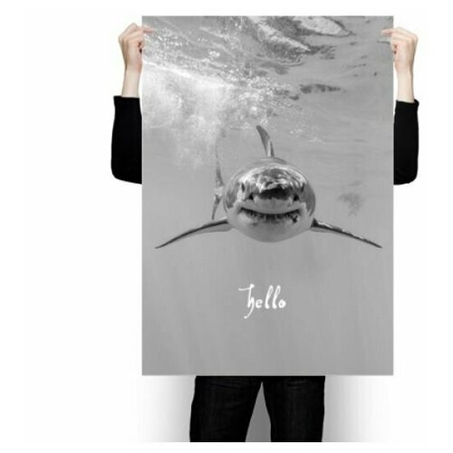 Картина на Стекле - "Акула", размер 60х40 см