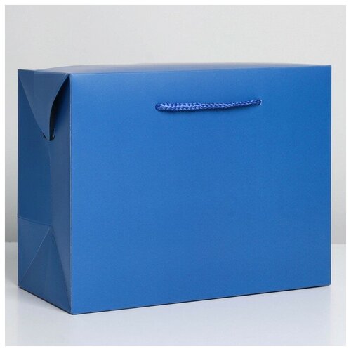 Пакет — коробка «Синий», 28 × 20 × 13 см