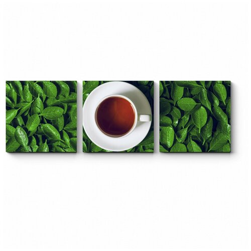 Модульная картина Зеленый чай 110x37