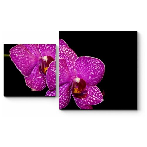 Модульная картина Тропическая орхидея 150x90