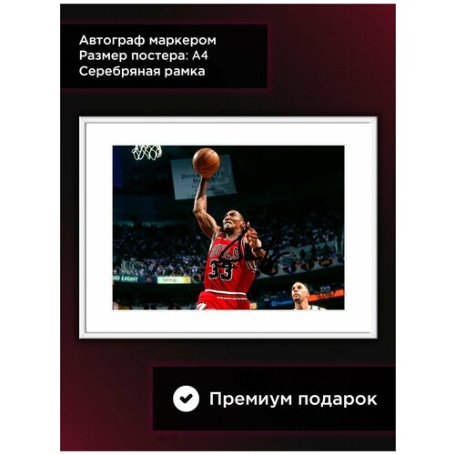 Постер в раме с автографом Скотти Пиппен, игрок Чикаго Буллз, НБА, Баскетбол, А4, серебряная рама