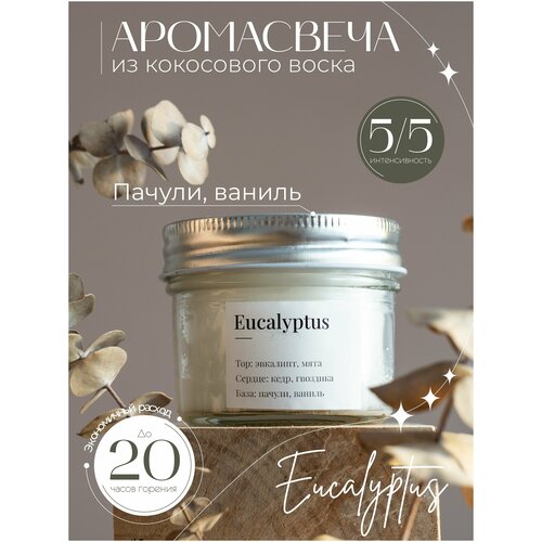 Свеча ароматическая с деревянным фитилем Eucalyptus 100 ml / с запахом эвкалипта и мяты / Wow Aroma