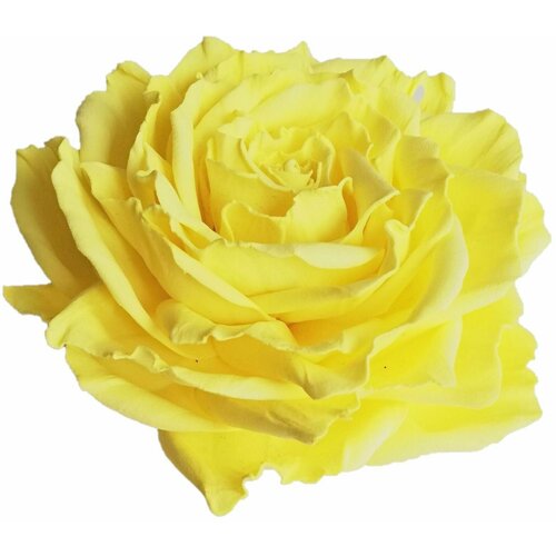 Заколка-брошь для волос/одежды/сумки большой цветок роза жёлтая 0005