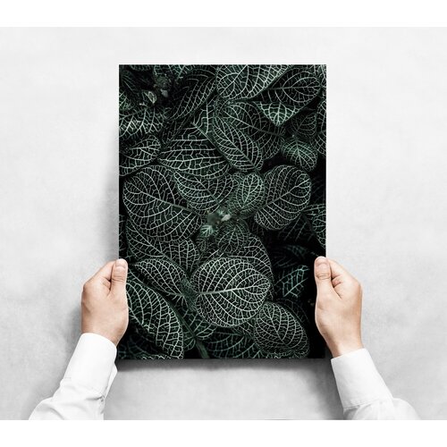 Плакат "Листья" / Интерьерный постер формата А1 (60х80 см) без рамы