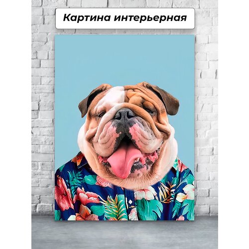 Картина интерьерная 50х70 Бульдог Собака Смешная