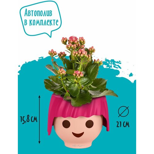 Кашпо для цветов с автополивом пластиковое голова Lechuza OJO горшок настольный для декора с субстратом