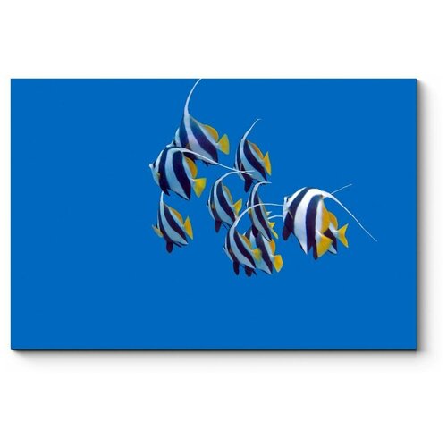 Модульная картина Тропические рыбы 50x33