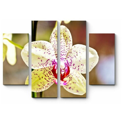 Модульная картина Тигровая орхидея 120x90