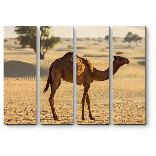 Модульная картина Верблюд, очарованный песками 110x83