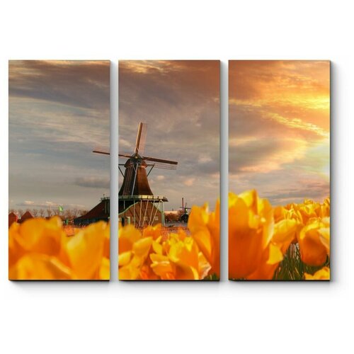 Модульная картина Ветряная мельница и желтые тюльпаны на закате 100x72
