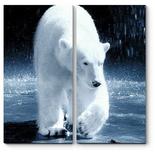 Модульная картина Белый полярный красавец 60x60