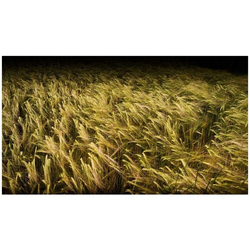 Картина на холсте 60x110 Альянс Лес "Пшеница поле ночь" на подрамнике / интерьер/ декор