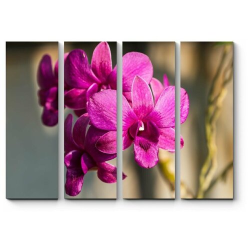 Модульная картина Королева цветов - прекрасная орхидея 140x105