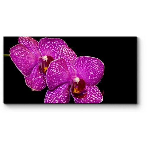 Модульная картина Тропическая орхидея 90x45