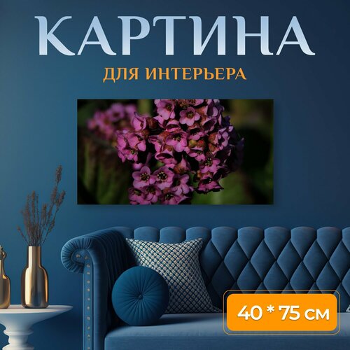 Картина на холсте "Расцветает, весна, фиолетовый" на подрамнике 75х40 см. для интерьера