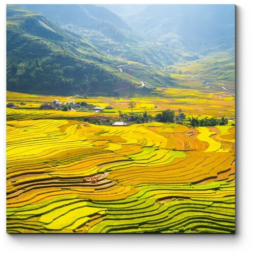Модульная картина Рисовые поля у подножия гор Вьетнама 30x30
