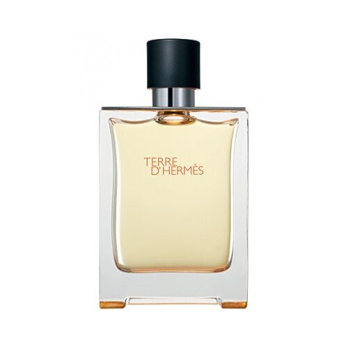 Hermes туалетная вода Terre d'Hermes, 100 мл, 100 г