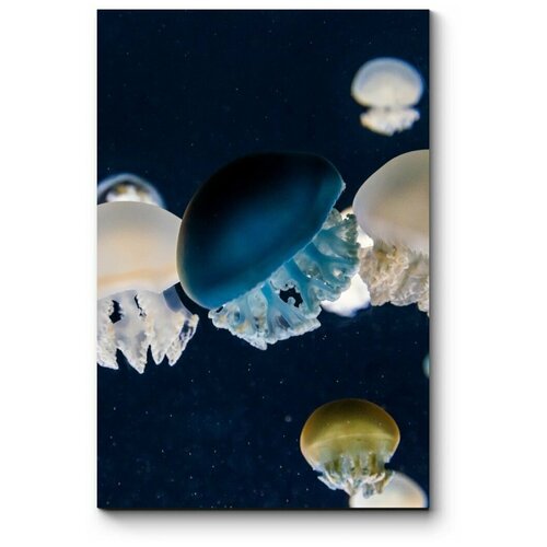 Модульная картина Красивые медузы70x105