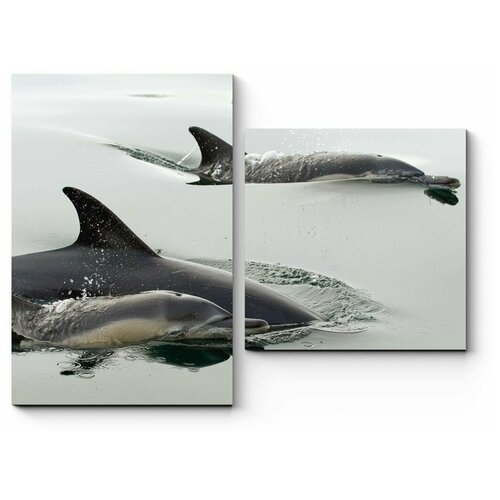 Модульная картина Счастливая семья дельфинов50x38