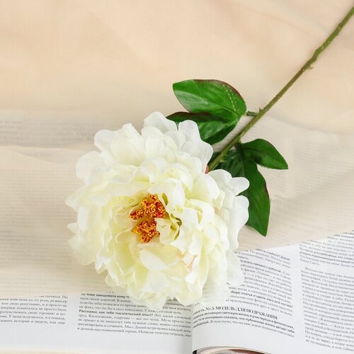 Цветы искусственные Пион бархатный 15х55 см, белый