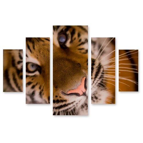 Модульная картина на холсте "Взгляд тигра" 90x66 см