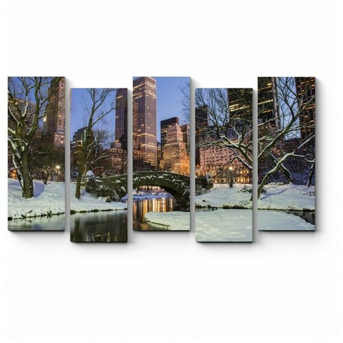 Модульная картина Зимний вид Центрального Парка100x58