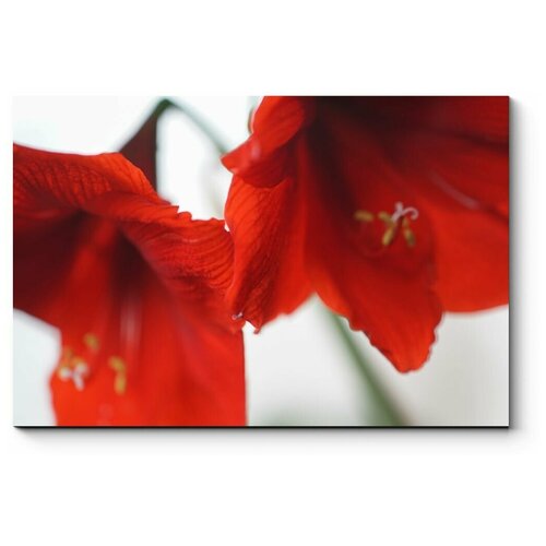 Модульная картина Красные цветы 70x47