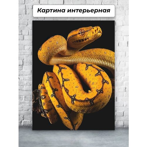 Картины для интерьера 40х60 Змея