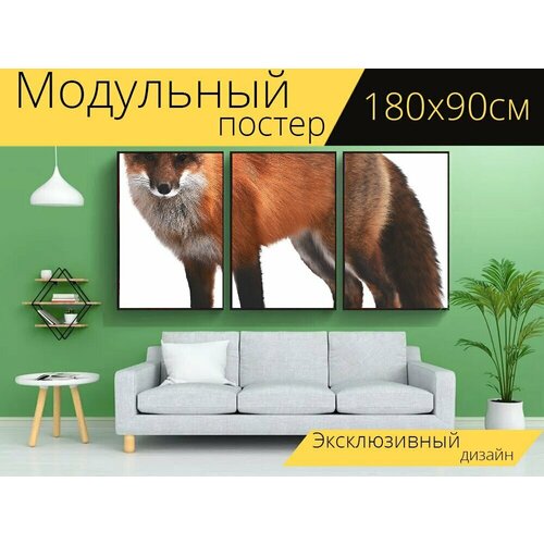 Модульный постер "Лиса, млекопитающее, дикая природа" 180 x 90 см. для интерьера