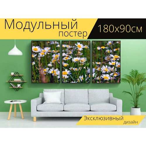 Модульный постер "Ромашка, цветки ромашки, цветы" 180 x 90 см. для интерьера