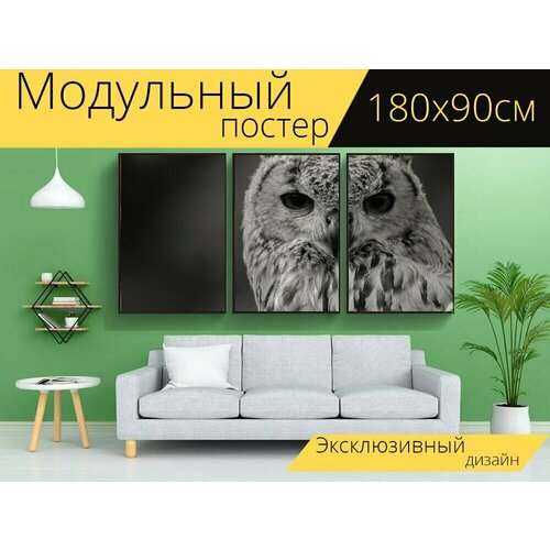 Модульный постер "Чернобелый, дикая природа, природа" 180 x 90 см. для интерьера