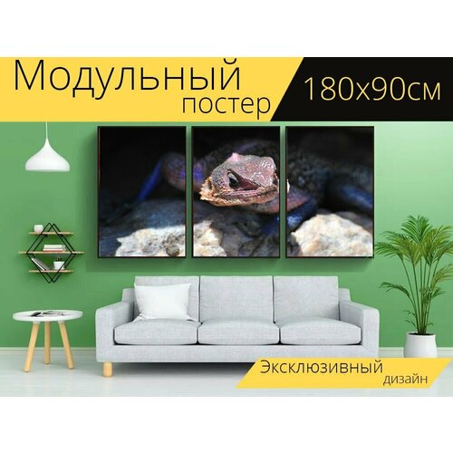 Модульный постер "Геккон, ящерица, саламандра" 180 x 90 см. для интерьера