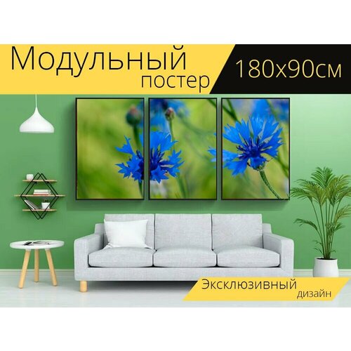 Модульный постер "Васильки, цветы, васильковый" 180 x 90 см. для интерьера