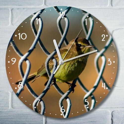 Настенные часы УФ с рисунком животные птицы - 3038