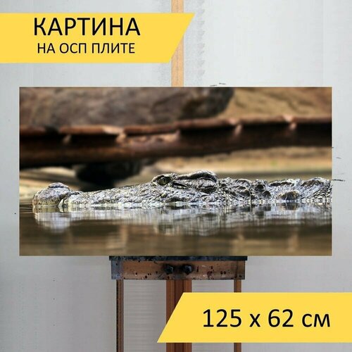 Картина на ОСП 125х62 см. "Крокодил, аллигатор, рептилия" горизонтальная, для интерьера, с креплениями