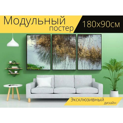 Модульный постер "Травы, камыши, зеркальное отображение" 180 x 90 см. для интерьера