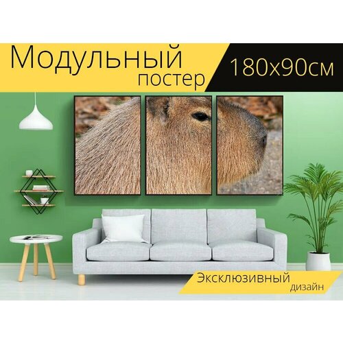 Модульный постер "Капибара, грызун, животное" 180 x 90 см. для интерьера