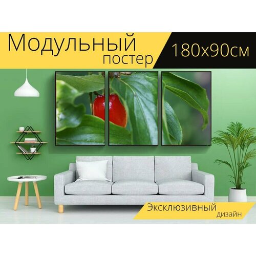 Модульный постер "Cornus mas, сердолик, красный берри" 180 x 90 см. для интерьера
