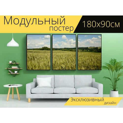 Модульный постер "Сельхозугодья, пшеница, рожь" 180 x 90 см. для интерьера