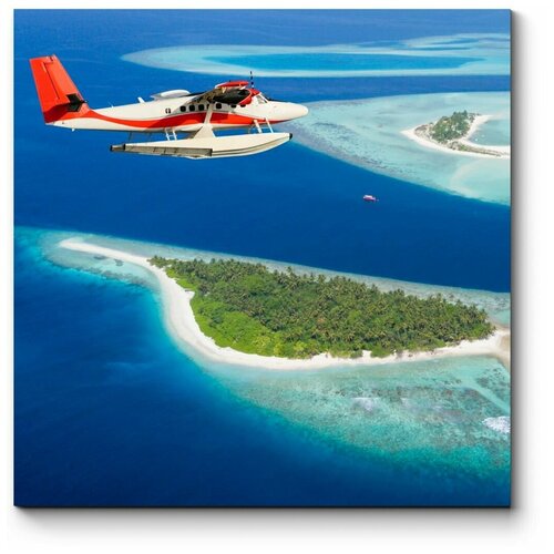 Модульная картина Летающий над Мальдивами 50x50