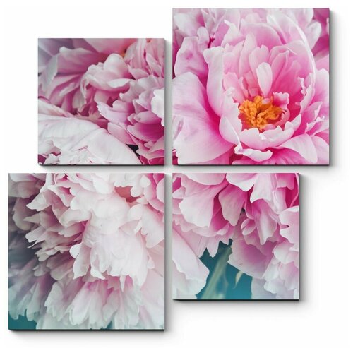 Модульная картина Нежно-розовые пионы 90x90