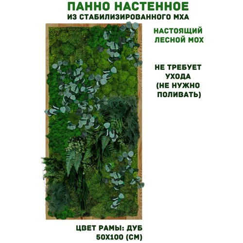 Панно из стабилизированно мха GardenGo в рамке цвета дуб, 50х100 см, цвет мха зеленый